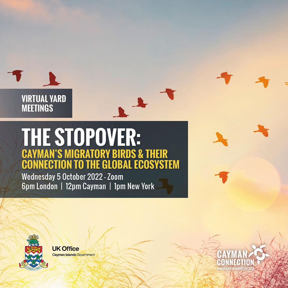 Cayman Islands Government Office UK | CIGO